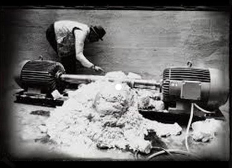 Joseph Beuys: The Coyote Action in a Neo-Avant Garde and Postmodern ...